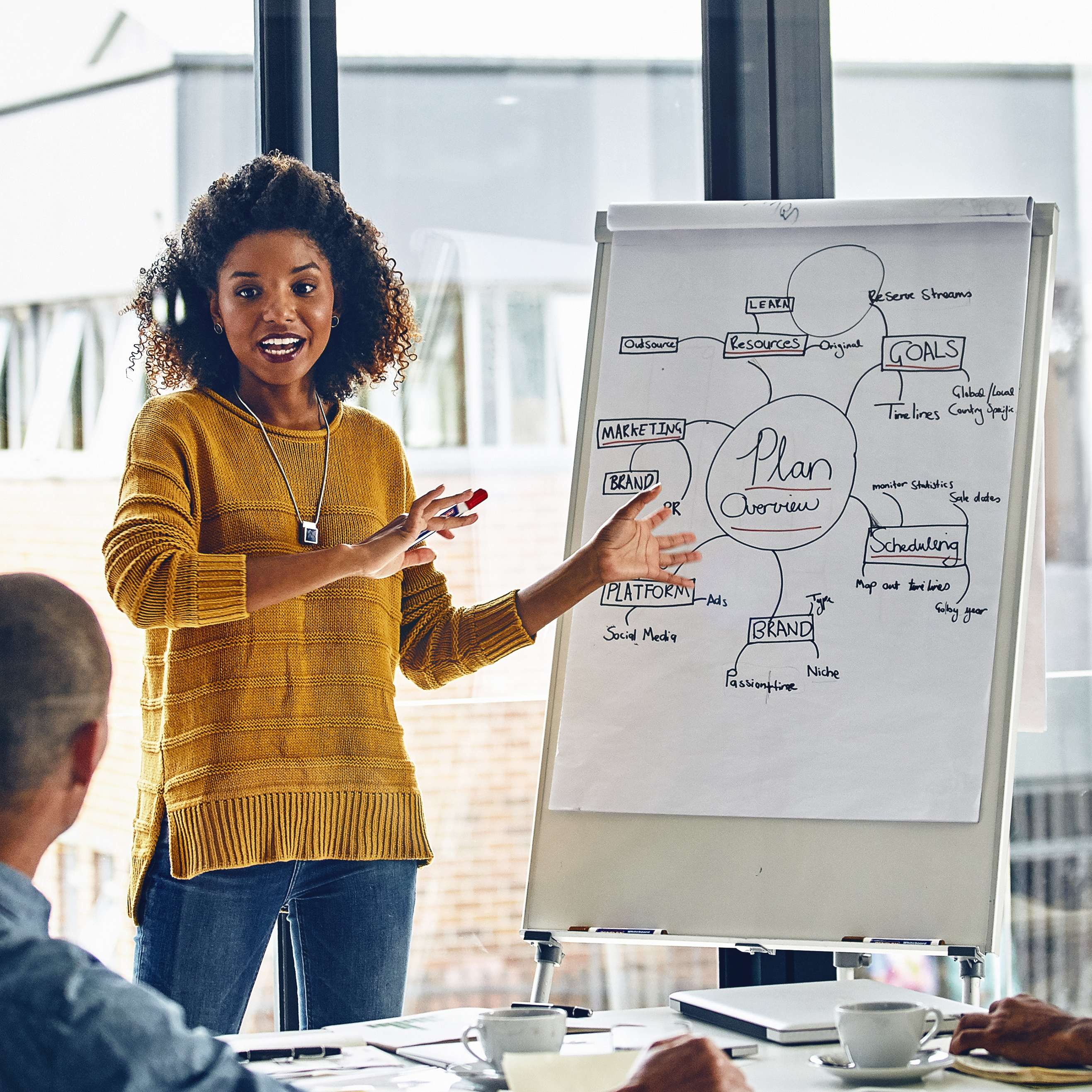 Section: NPPO management | IPPC PLANT HEALTH CAMPUS | FAO elearning Academy